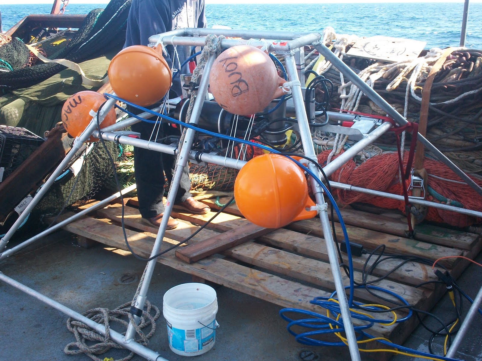 "Camera Trawl to ROV" De Camaras Aquaticas a Robots – NOAA Teacher at ...