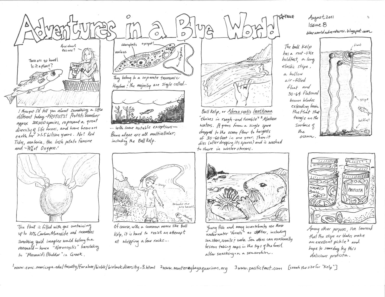 Issue Eight: The Mermaid’s Bladder – NOAA Teacher at Sea Blog