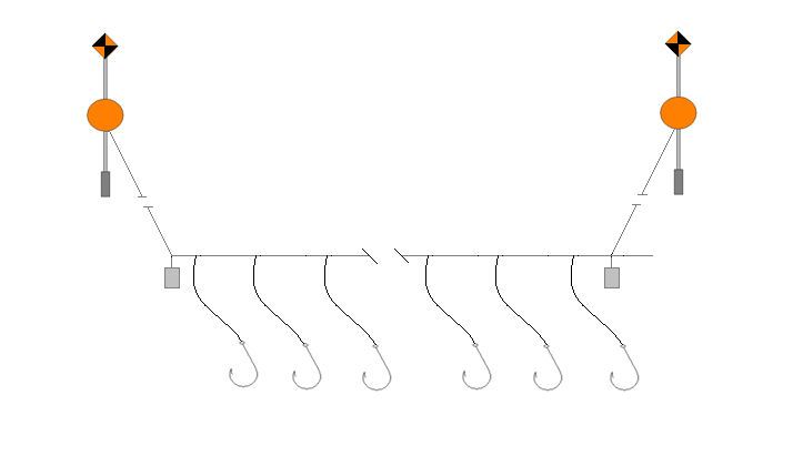 Longline Diagram, courtesy Dr. Trey Driggers – NOAA Teacher at Sea Blog