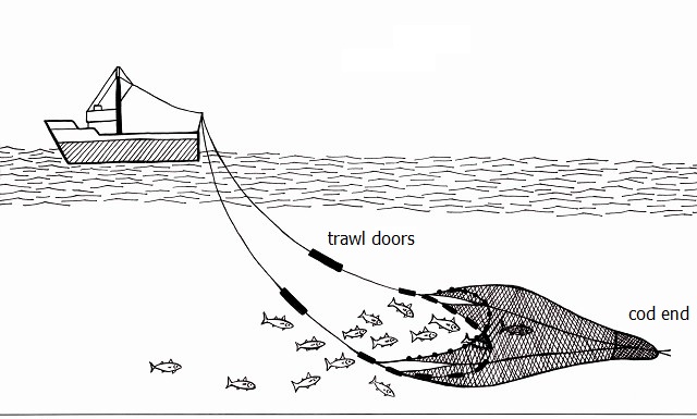 Trawl Net – NOAA Teacher at Sea Blog