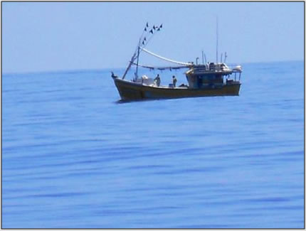 jackie_ham2 – NOAA Teacher at Sea Blog