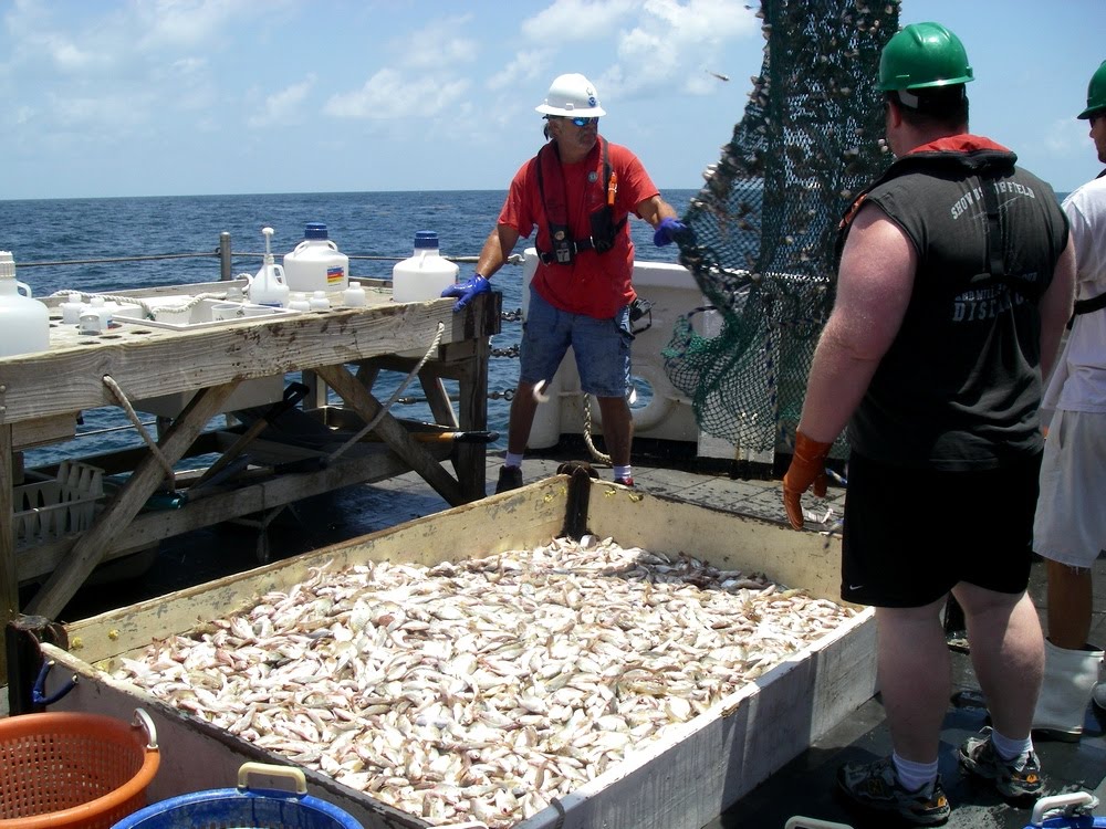Big Catch 2 – NOAA Teacher at Sea Blog