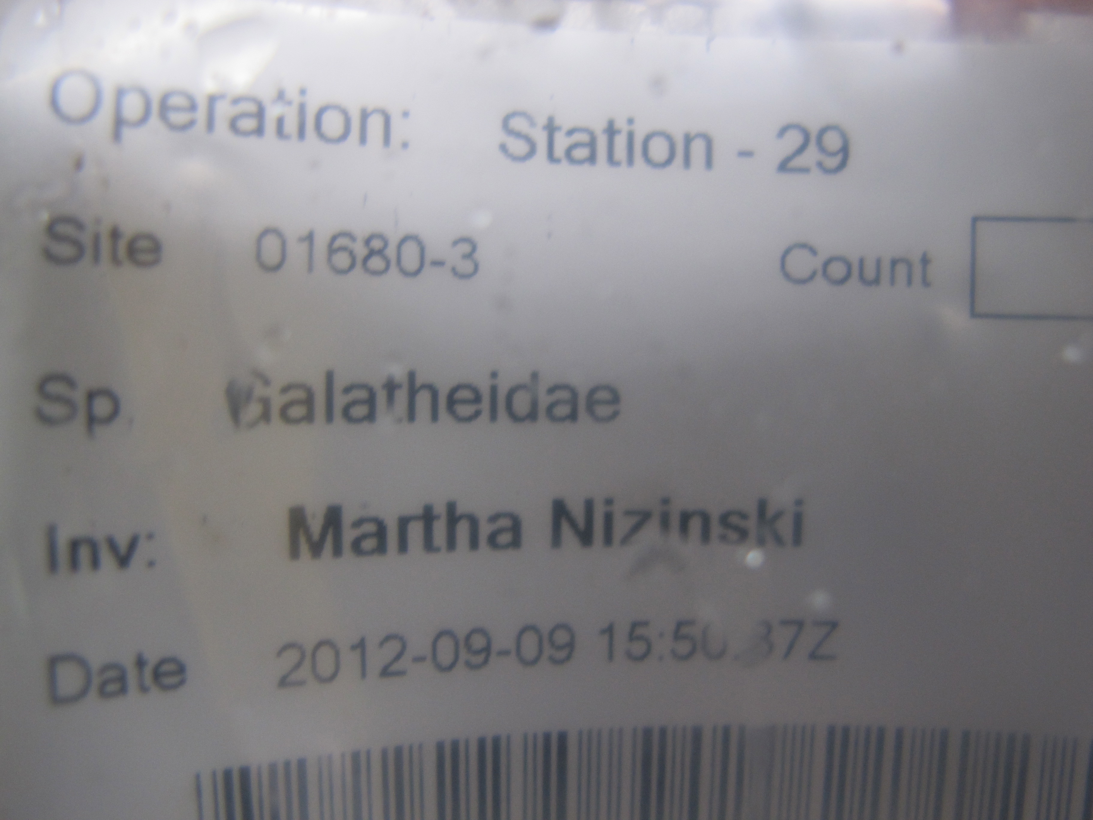 tag to go along with specimen being sampled or stored – NOAA Teacher at ...