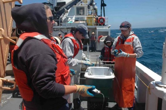 Elizabeth Eubanks, July 26, 2007 – NOAA Teacher at Sea Blog