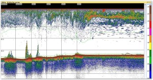 Marla Crouch: The Mystery and Surf Your Berth, June 14, 2013 – NOAA ...