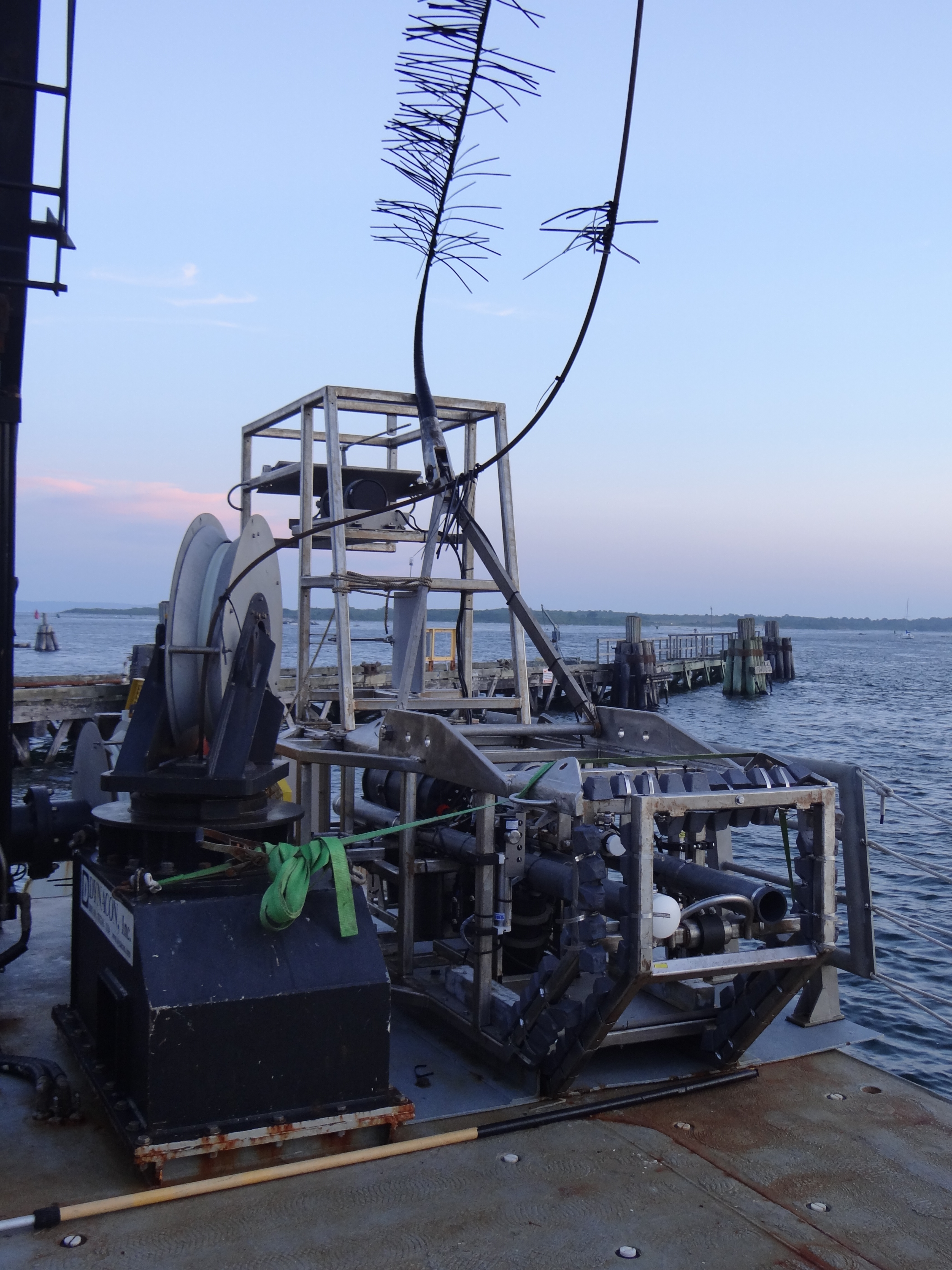 Virginia Warren: The Beginning of Life at Sea, July 11, 2013 – NOAA ...