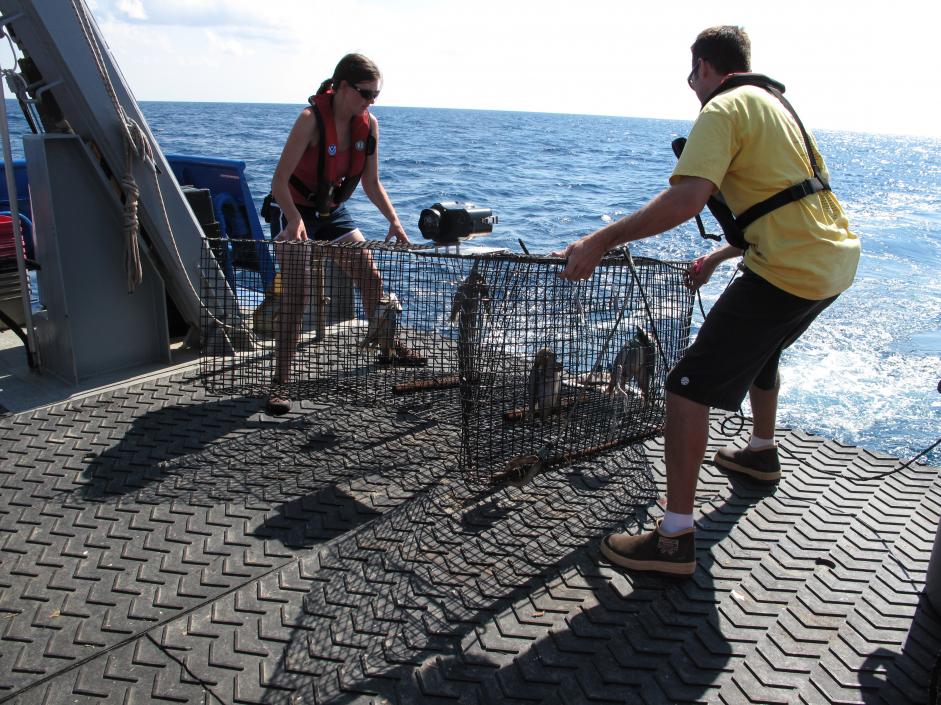 NOAA’s Teacher at Sea 2011 Field Season – NOAA Teacher at Sea Blog