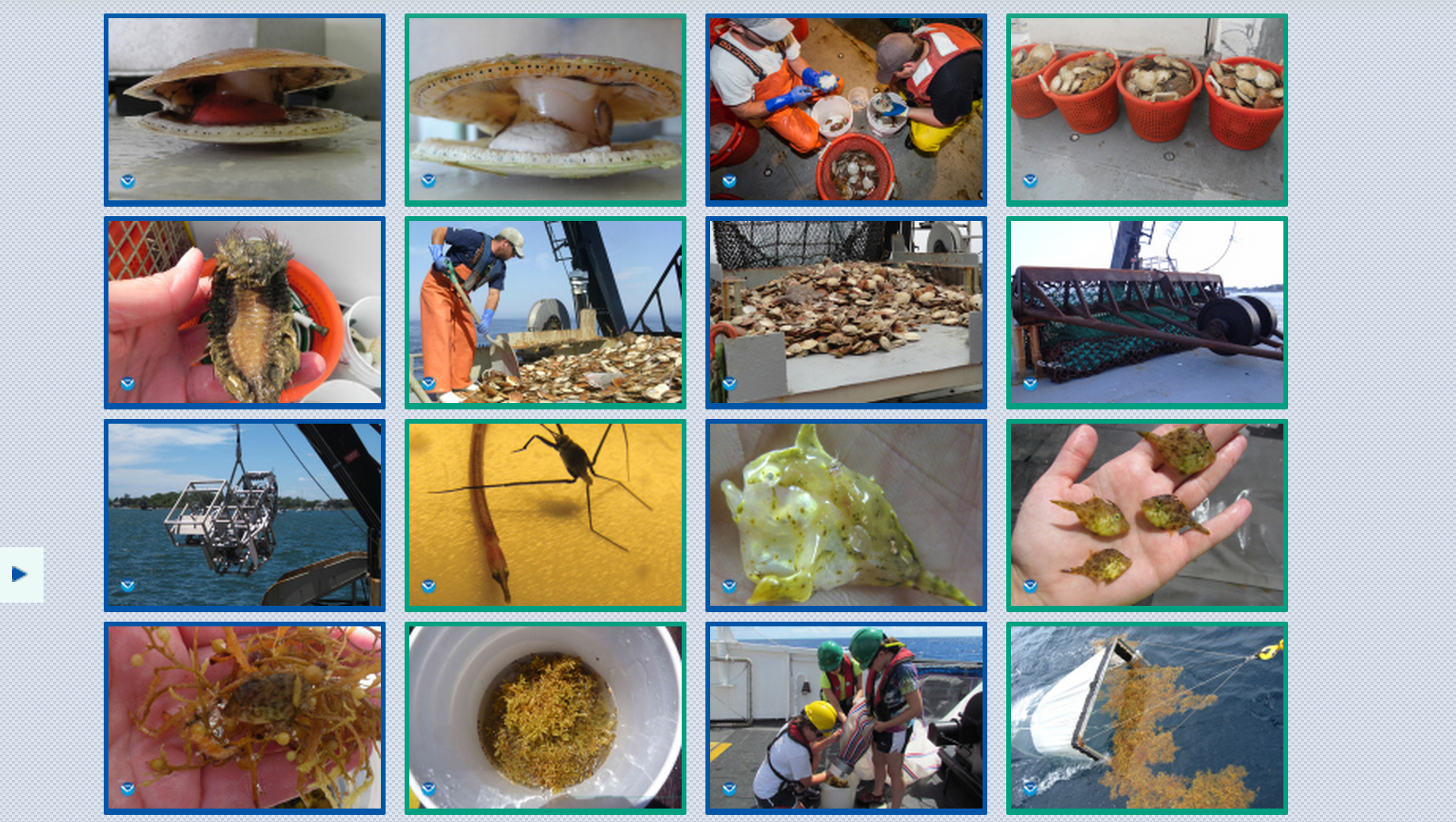dyk – NOAA Teacher at Sea Blog