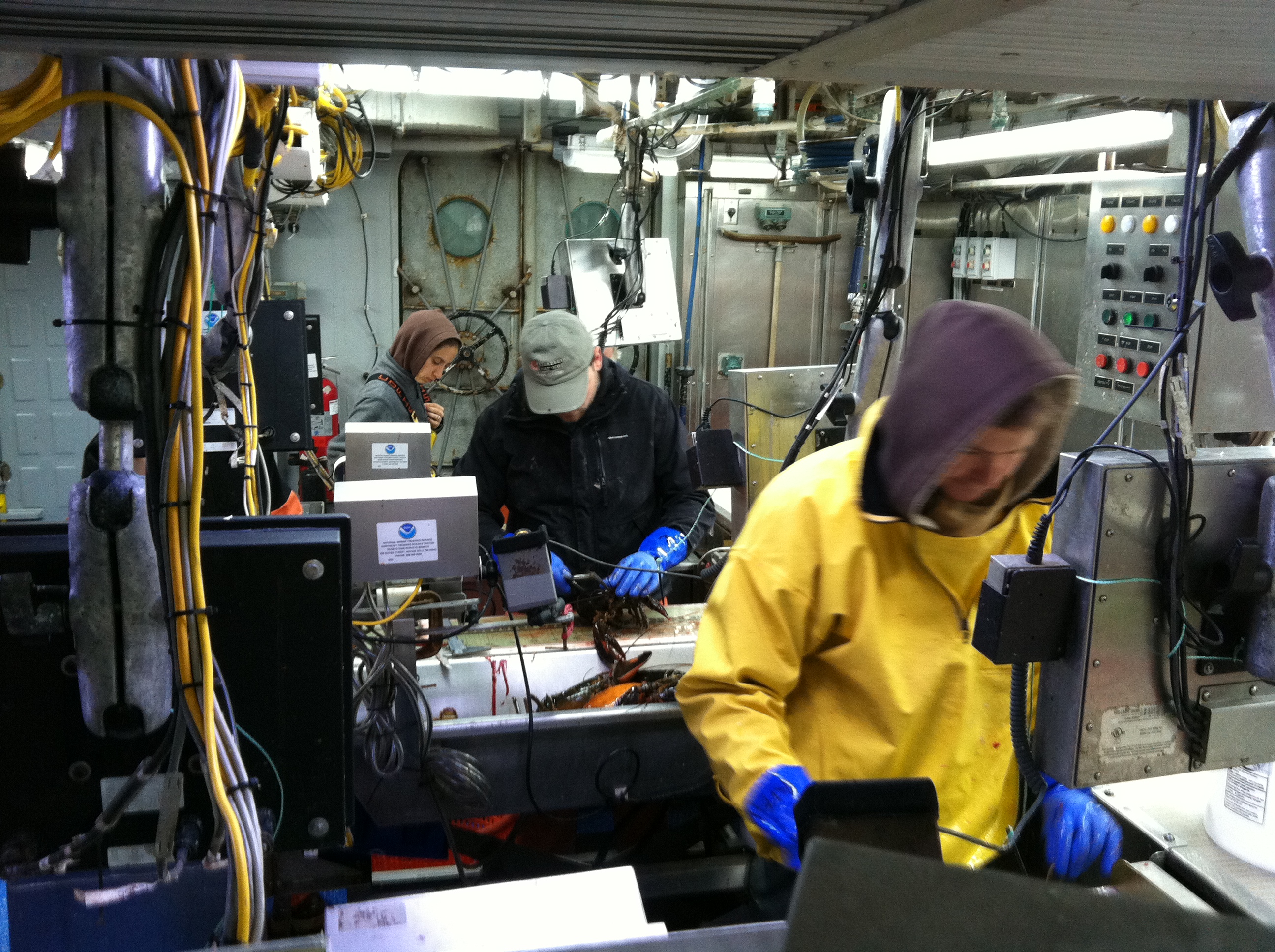 Chris Henricksen: Marine Life is Amazing! May 14, 2014 – NOAA Teacher ...