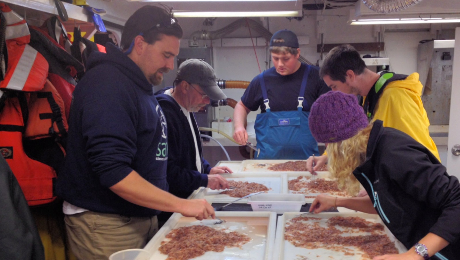 higgins – NOAA Teacher at Sea Blog