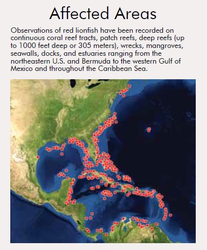 Affected Areas – NOAA Teacher at Sea Blog