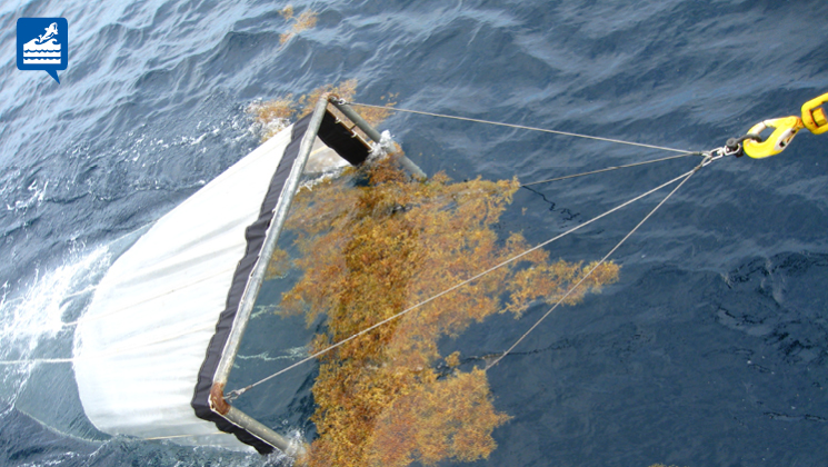 net – NOAA Teacher at Sea Blog