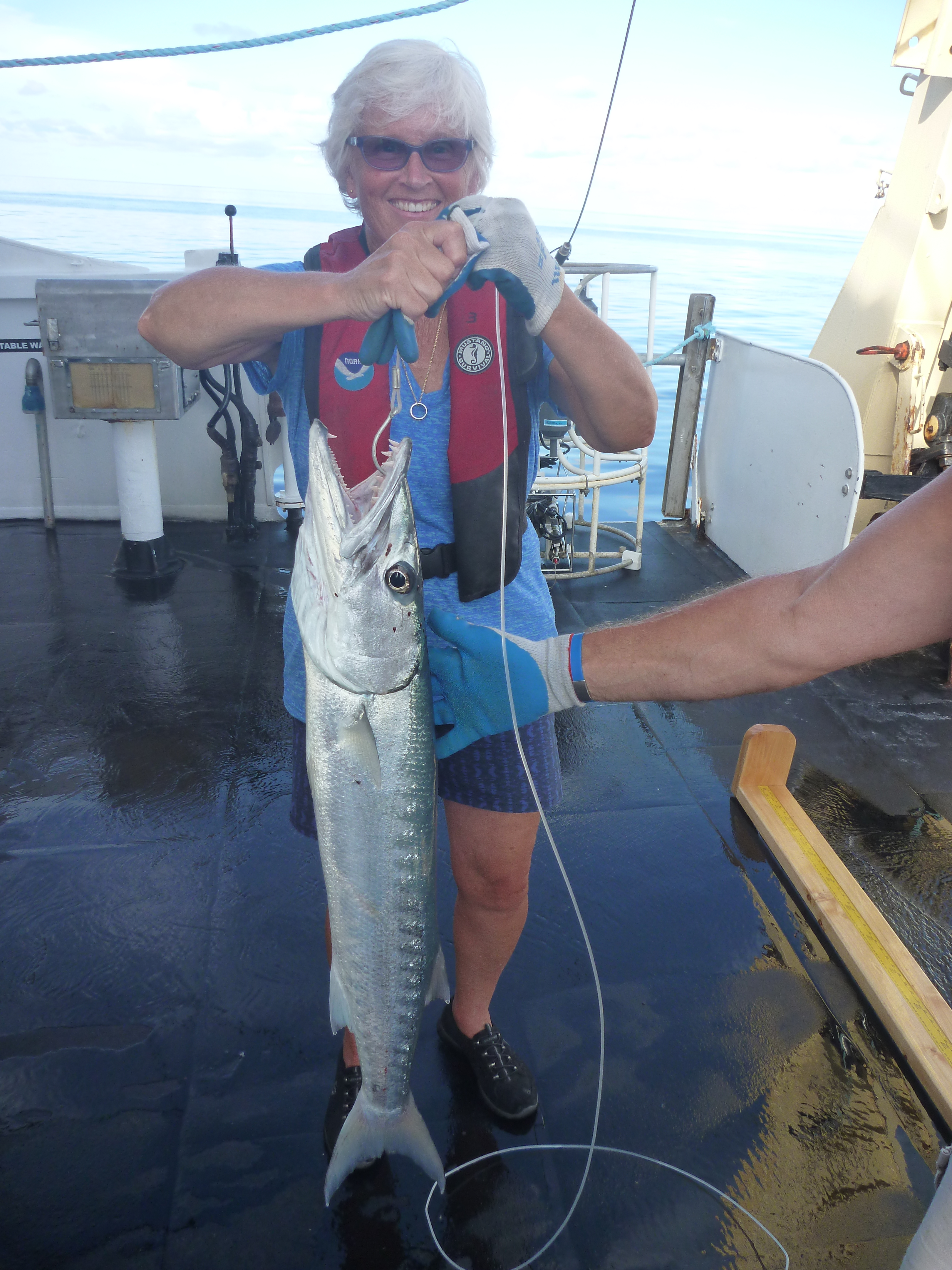 barracuda – NOAA Teacher at Sea Blog