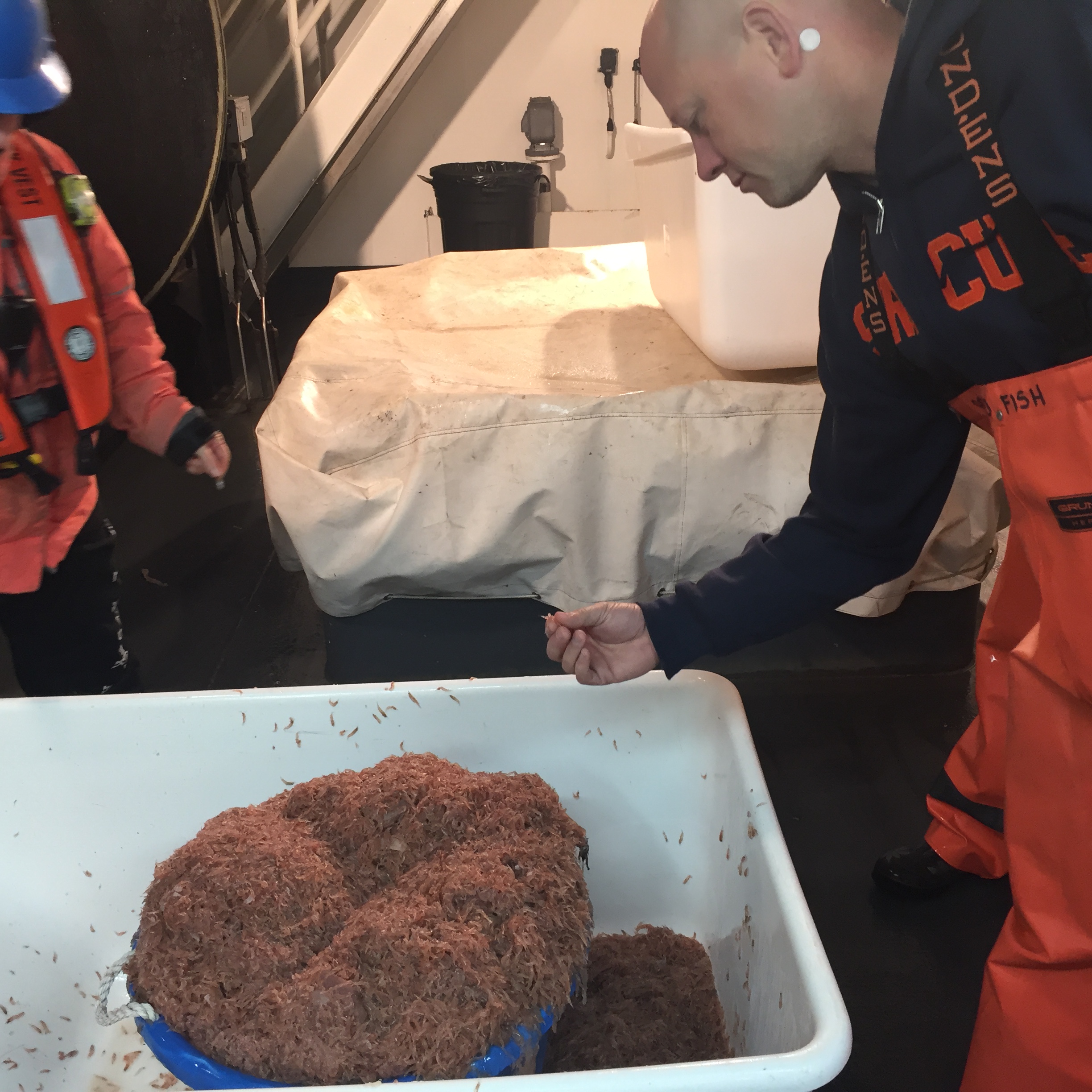 David Amidon: Science @ Sea, June 8, 2017 – NOAA Teacher at Sea Blog