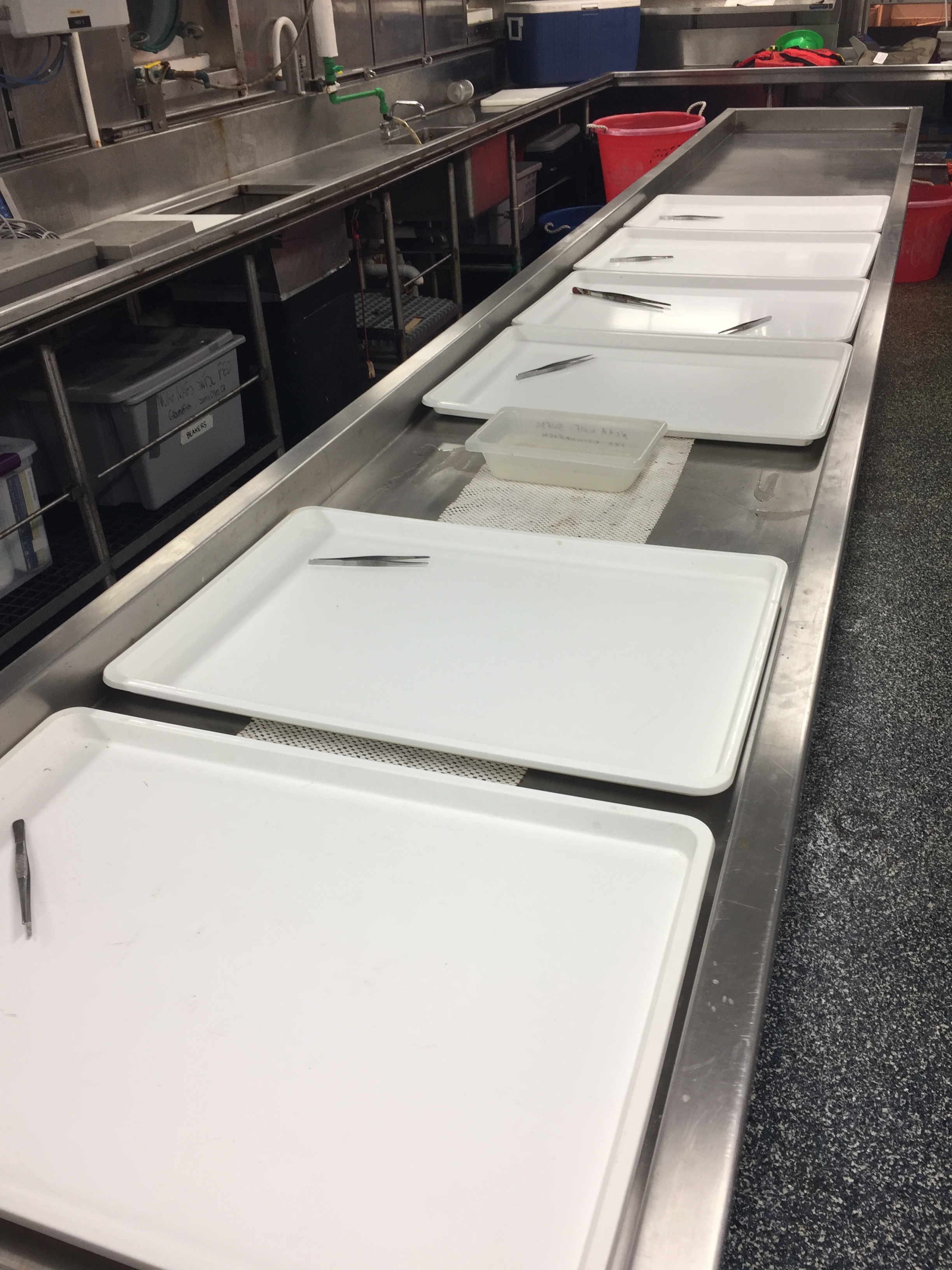 David Amidon: Back to Work, June 10, 2017 – NOAA Teacher at Sea Blog