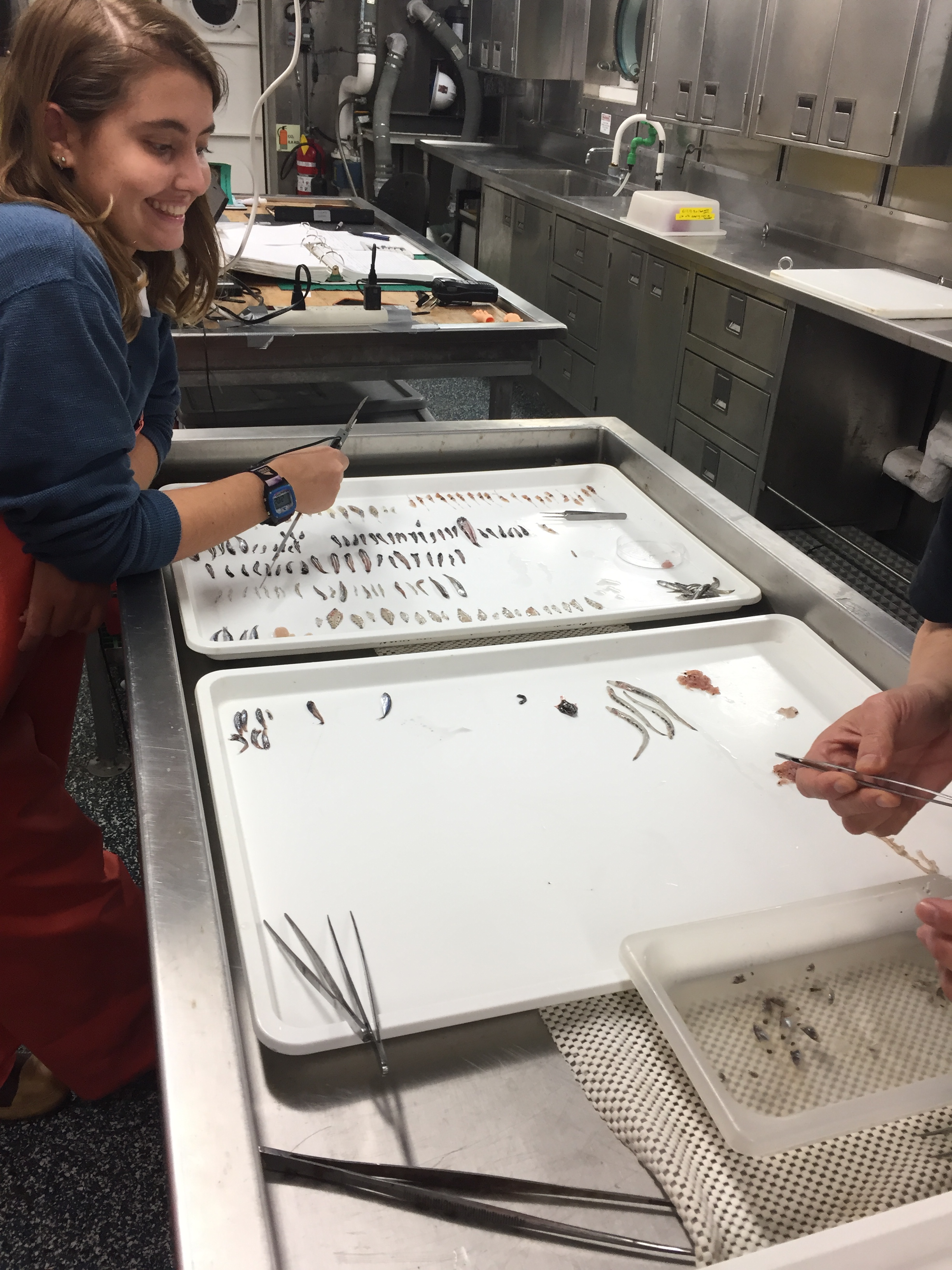 David Amidon: Back to Work, June 10, 2017 – NOAA Teacher at Sea Blog