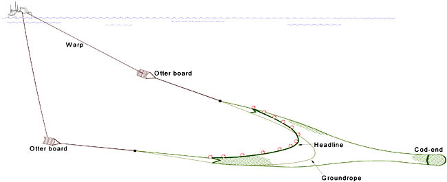 otter trawl net – NOAA Teacher at Sea Blog