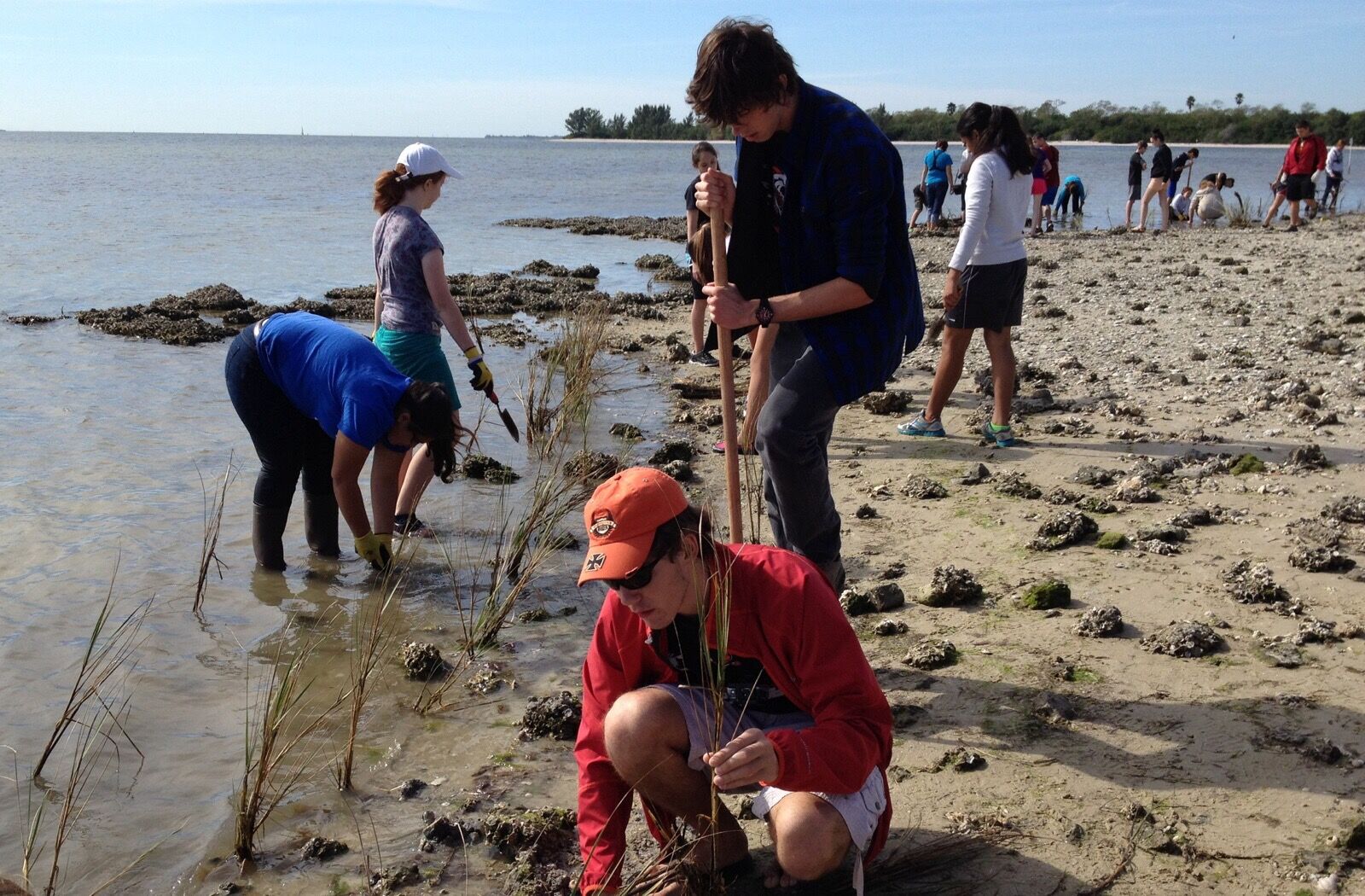 Sea grass planting – NOAA Teacher at Sea Blog