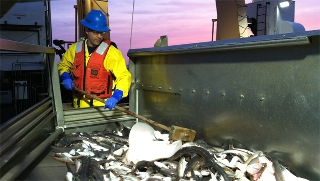 christopher-henricksen-profile – NOAA Teacher at Sea Blog