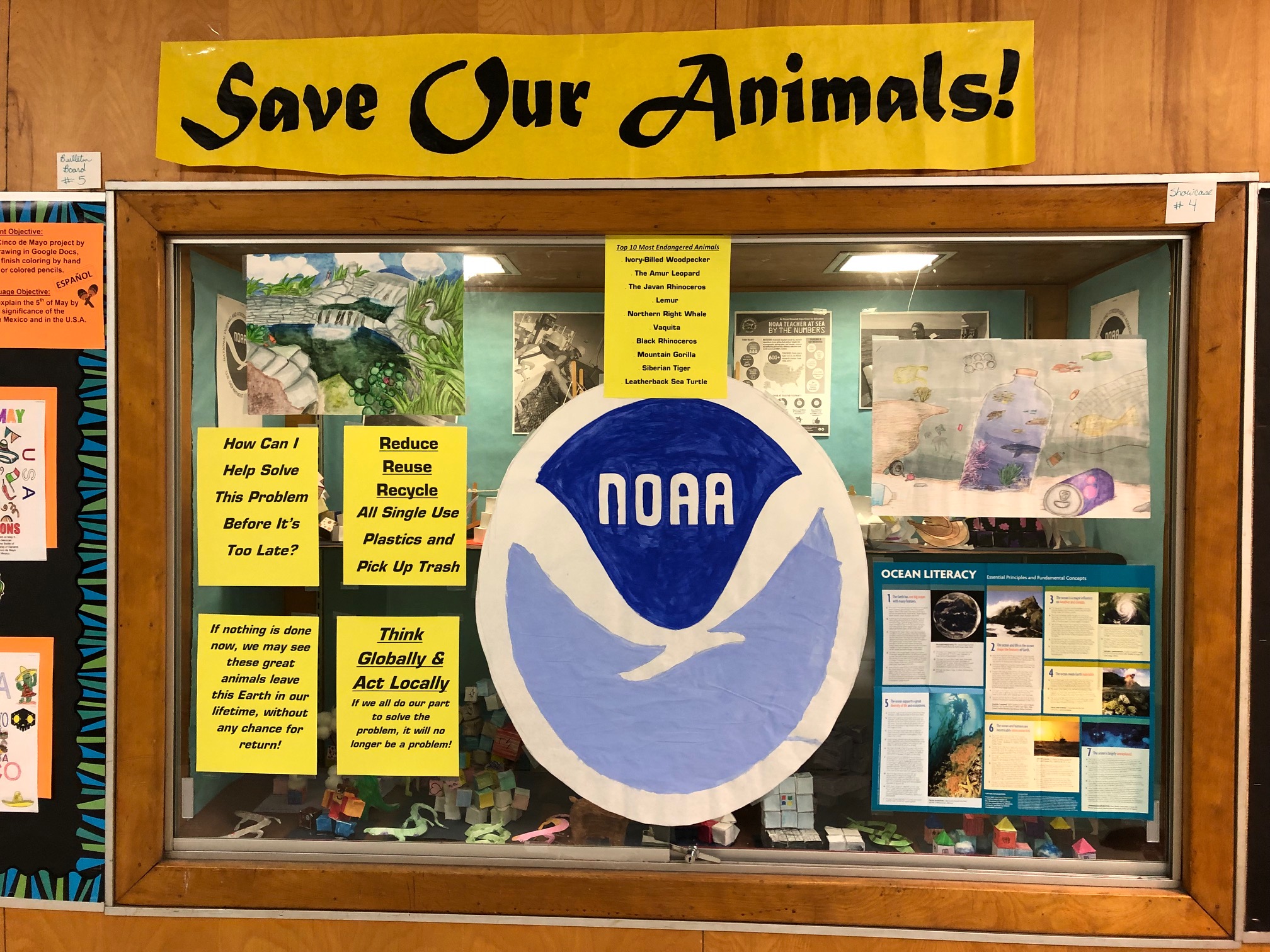 Kade_endangered species display – NOAA Teacher at Sea Blog