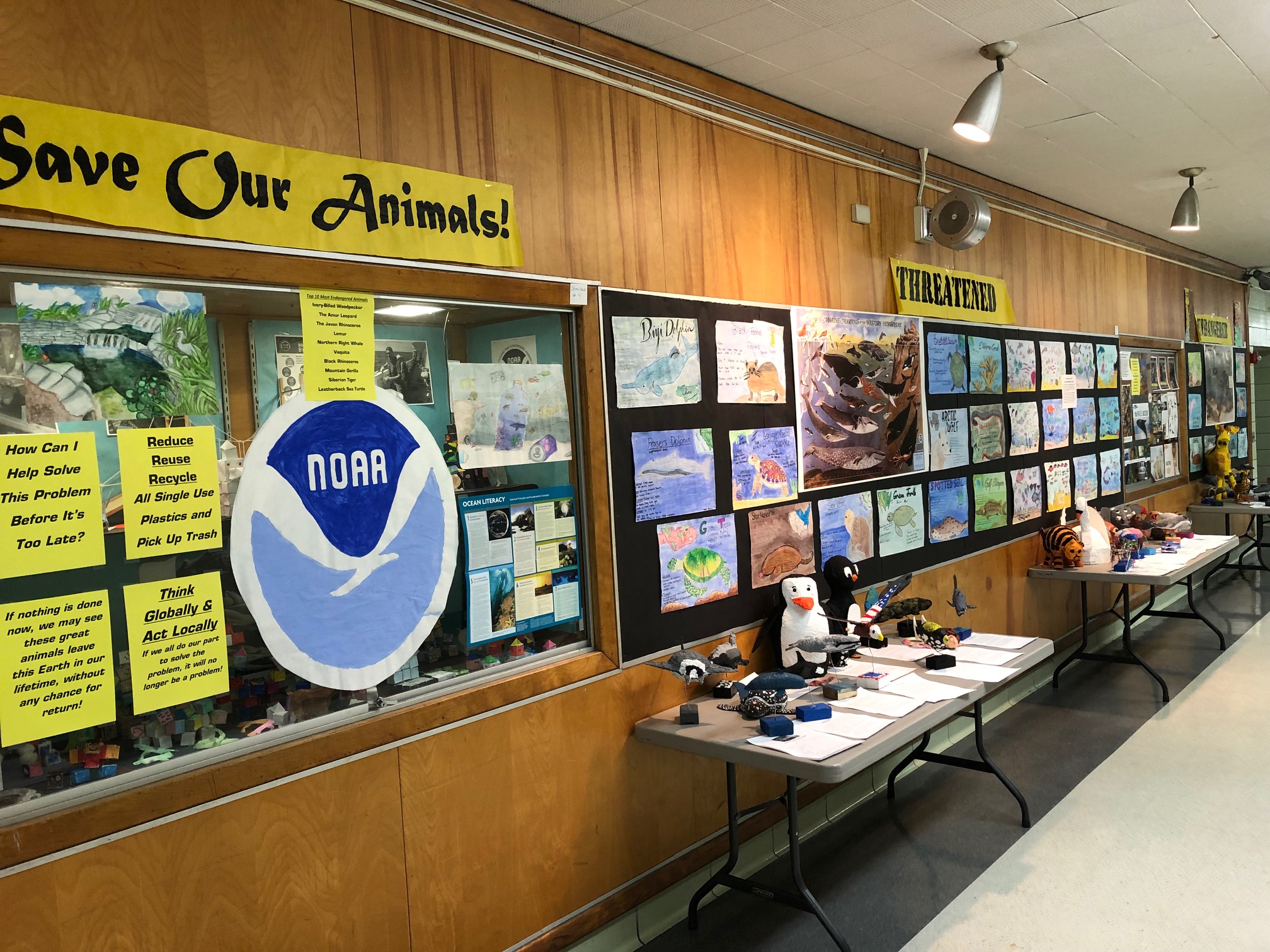Kade_endangered species display2 – NOAA Teacher at Sea Blog