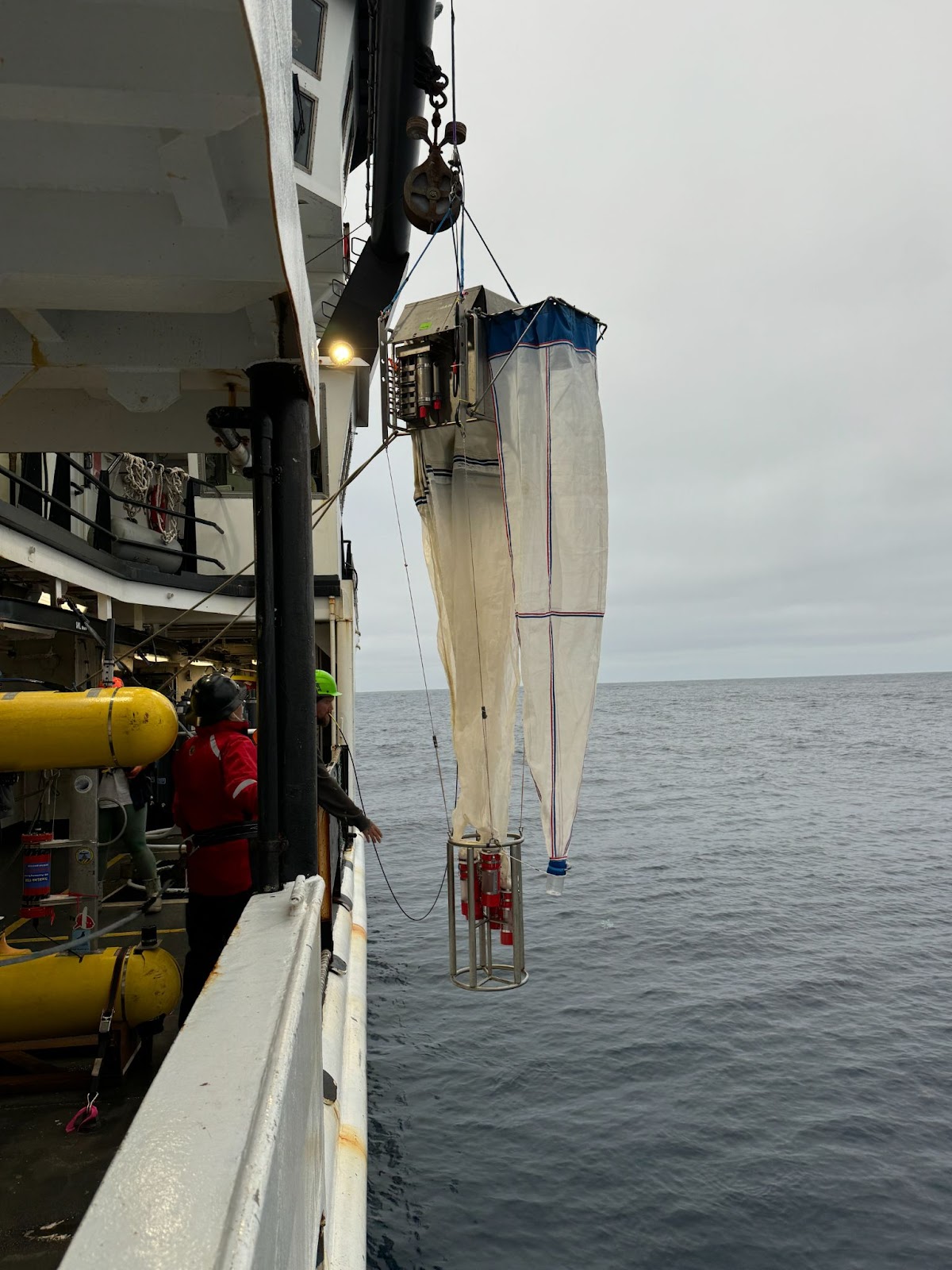 Lisa Werner: MultiNet Research, September 2, 2024 – NOAA Teacher at Sea Blog