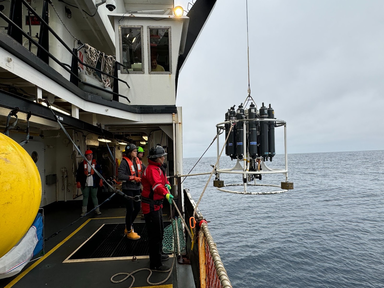 Lisa Werner: eDNA Studies, September 6, 2024 – NOAA Teacher at Sea Blog