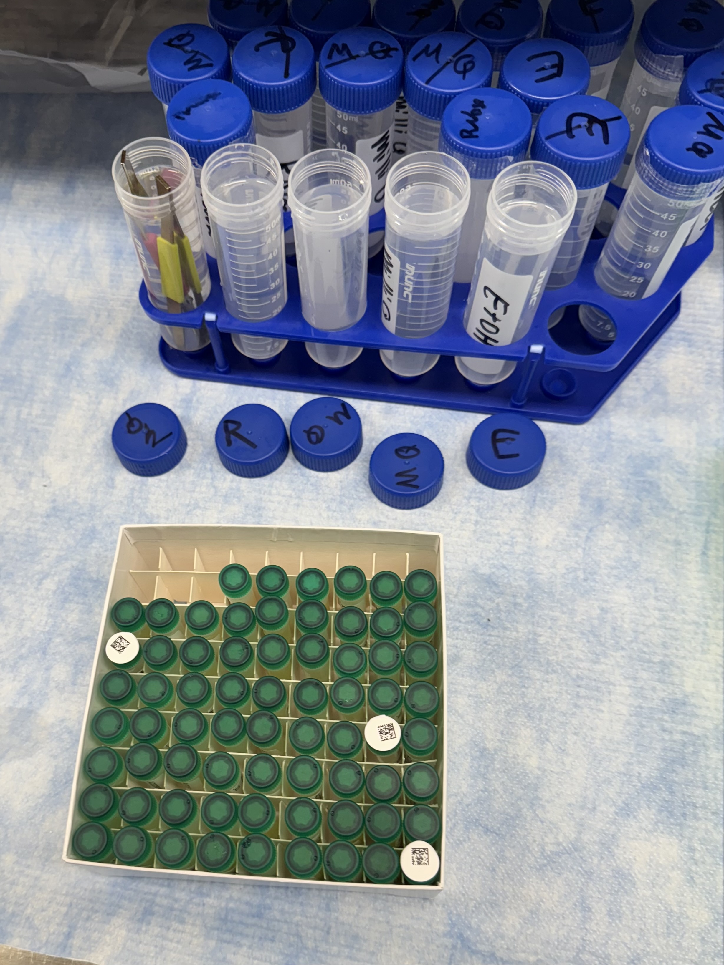 Omania_sample bottles – NOAA Teacher at Sea Blog